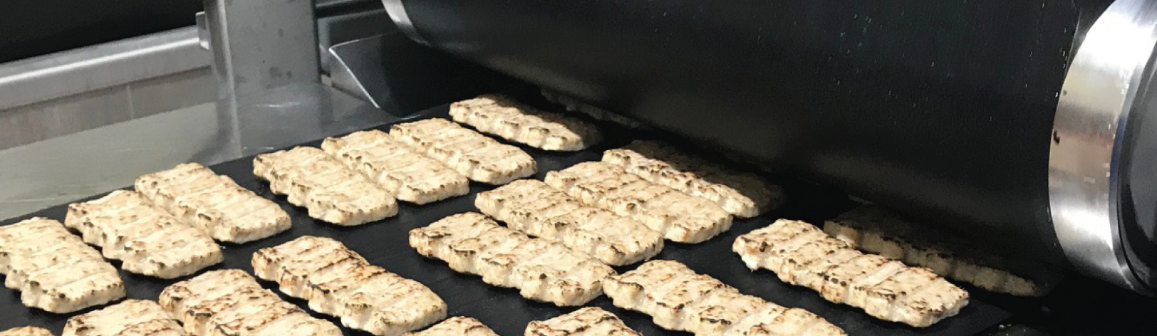 Taconic :: PTFE Contact Grill for Industrial Food Processing | Taconic