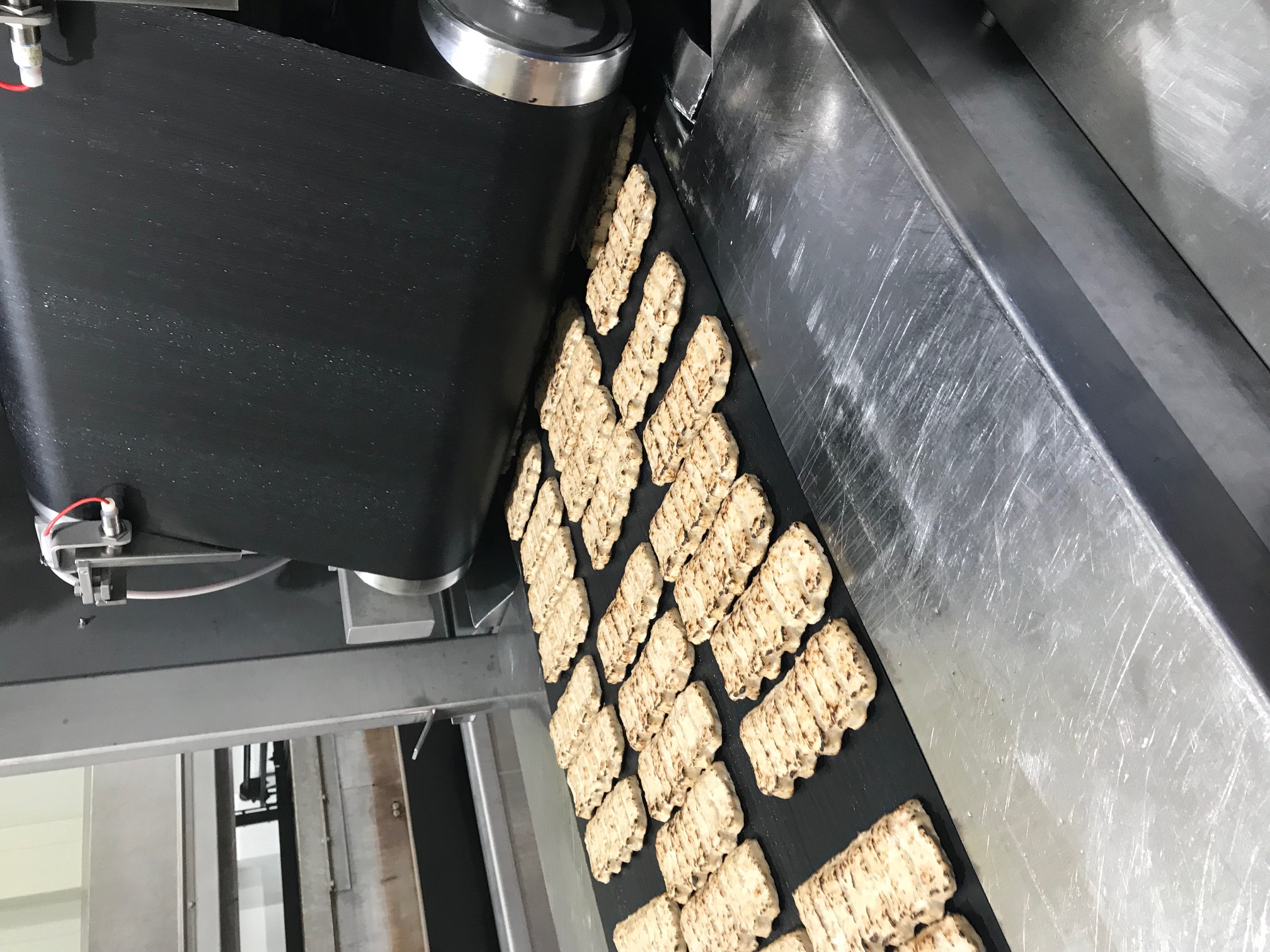 Taconic :: PTFE Contact Grill for Industrial Food Processing | Taconic